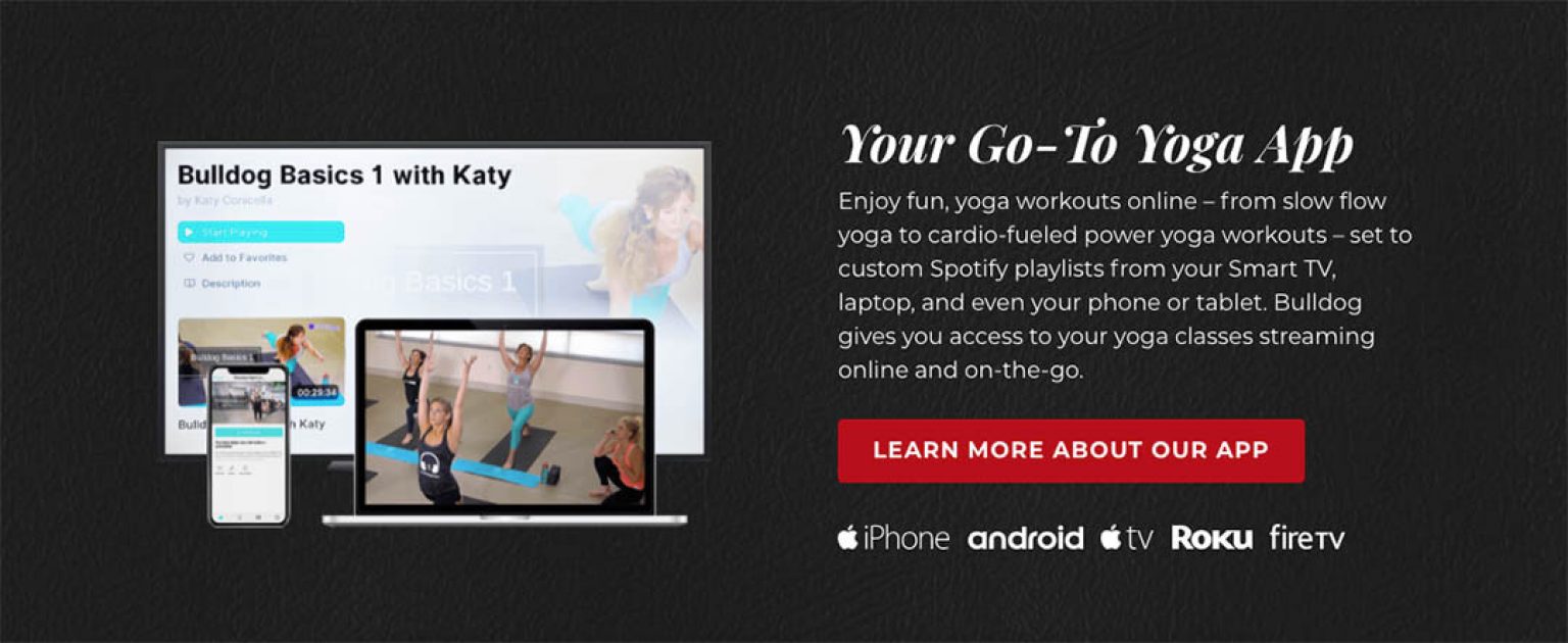 My Bulldog Yoga Review Reveals Why Bulldog Yoga Is So Popular | The ...