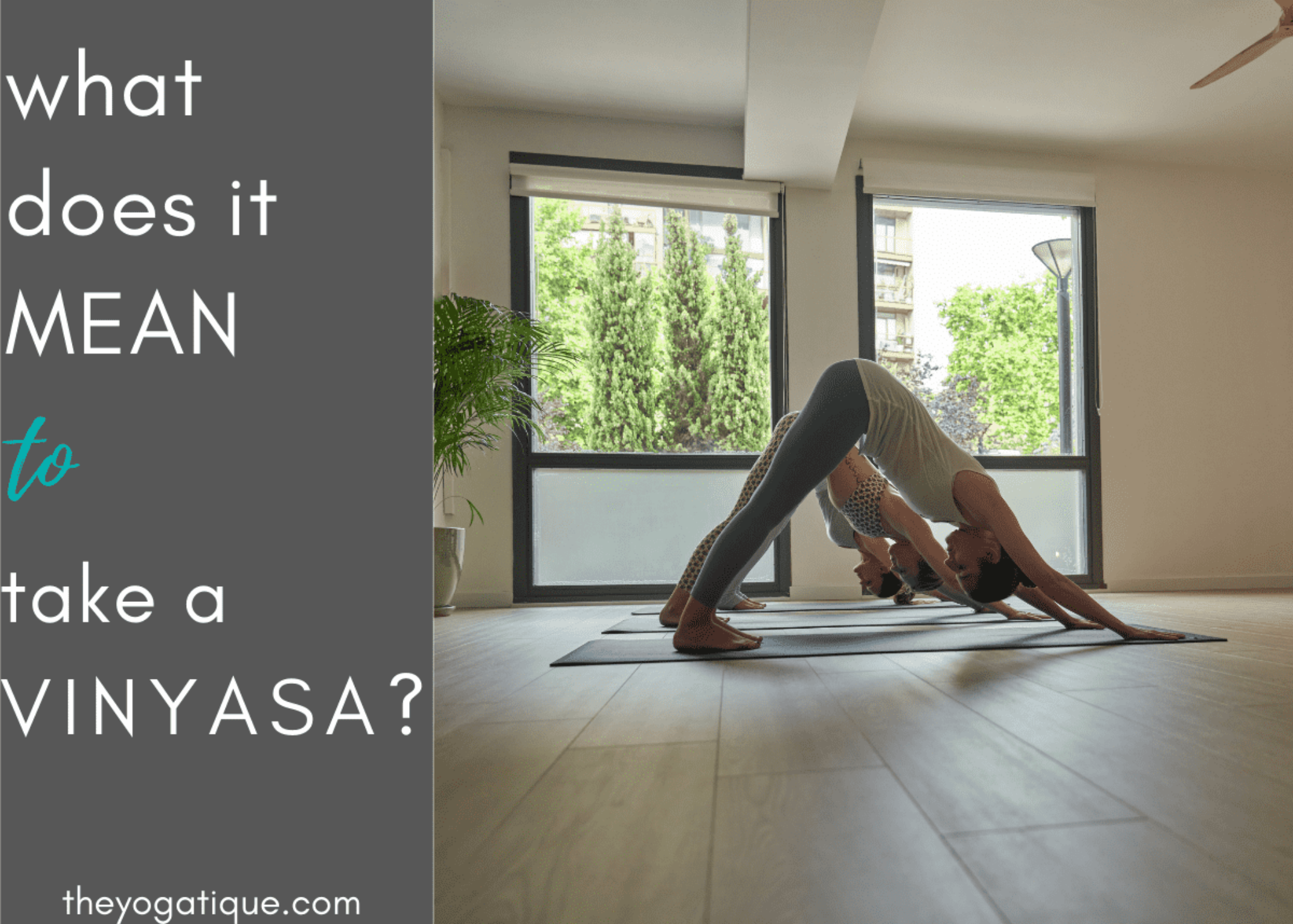 What Does It Mean To Take A Vinyasa? + How To Take A Vinyasa In 4 Steps ...
