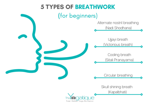 Breathwork For Beginners + 5 Breathing Techniques To Know About | The ...