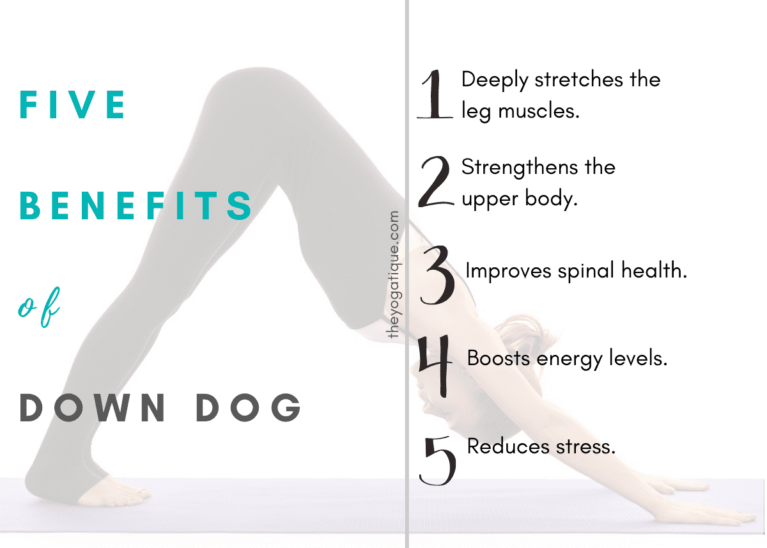 How To Do Downward Facing Dog Step-By-Step + 5 Benefits Of This Yoga ...