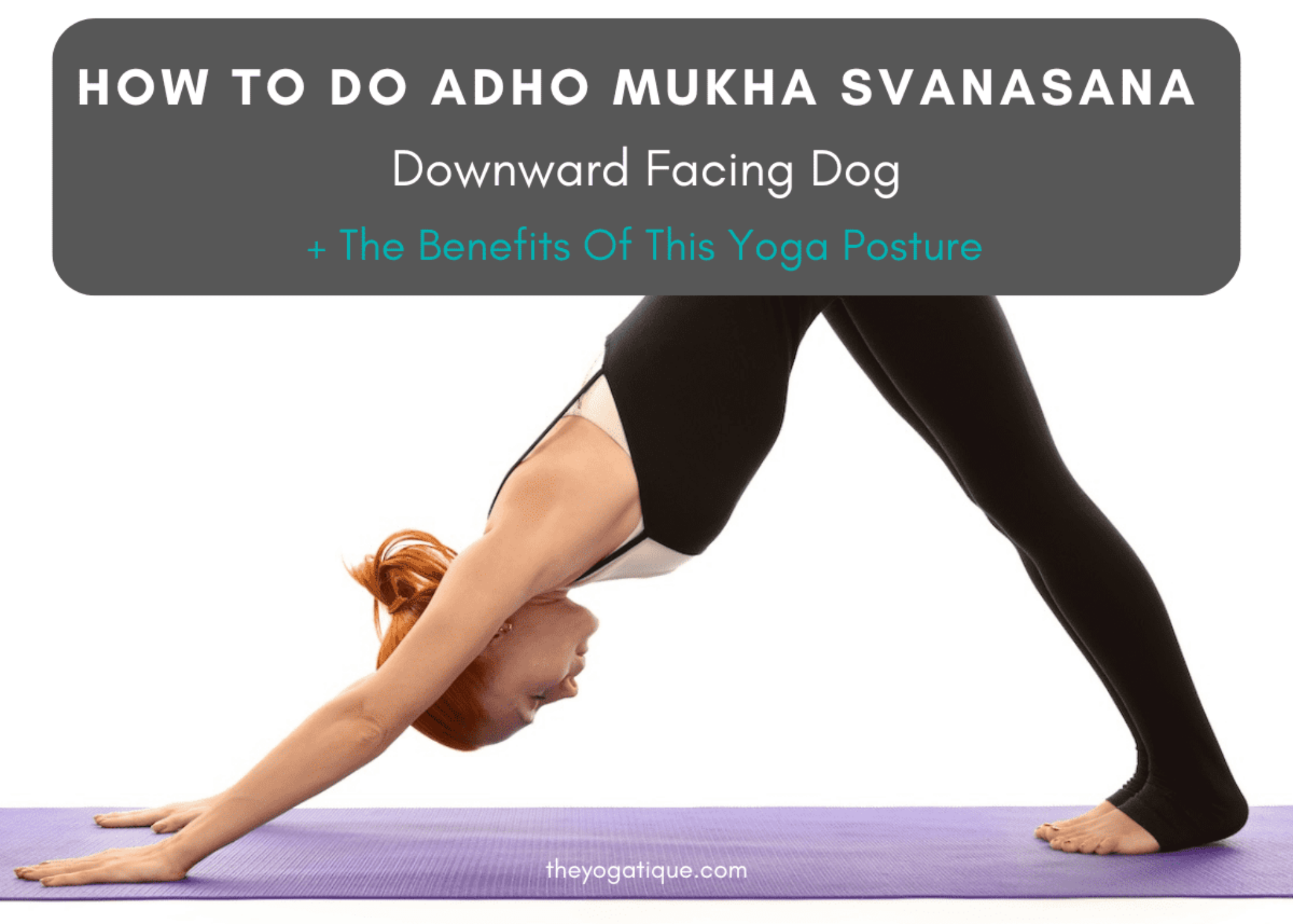 How To Do Downward Facing Dog Step-By-Step + 5 Benefits Of This Yoga ...