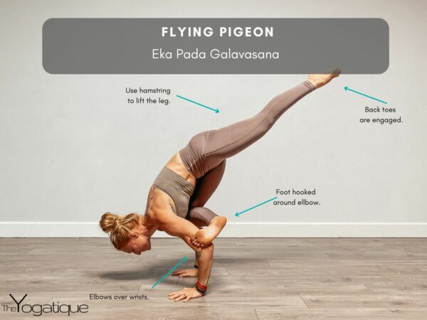 How To Do Flying Pigeon Pose + Modifcations & Misalignments | The Yogatique